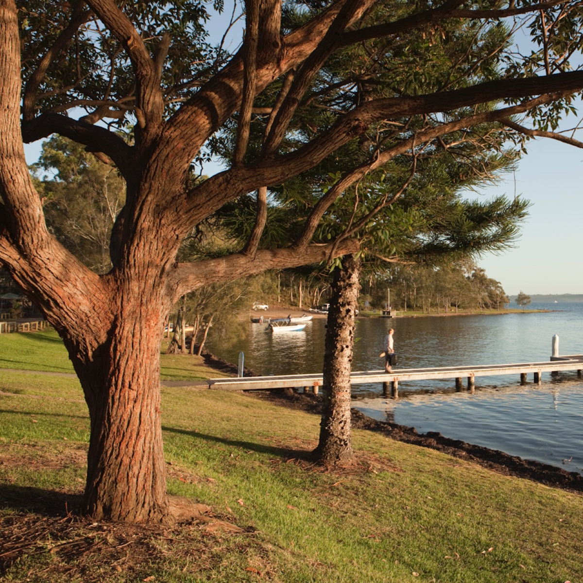 Lake Mac Holiday Parks | Our Work | Newism